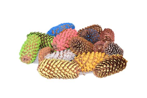 Con de brad Molid | 500g | 1 buc | Floro - Accesorii florale